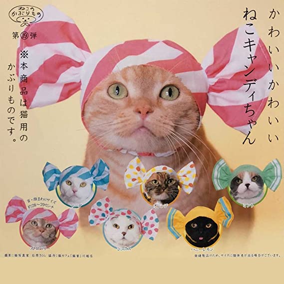 Candy Cat Hat Blind Box – Blim Vancouver